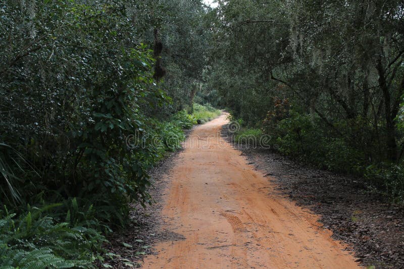 The Pathway Which is a Clay Dirt Road and Looks Red. Stock Photo ...