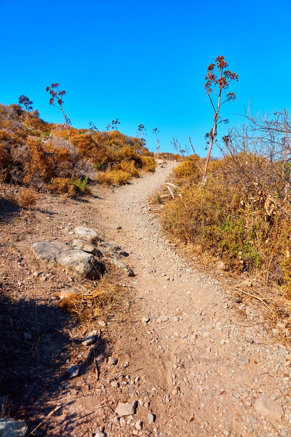 Pathway in the wildereness stock image. Image of trail - 99581425