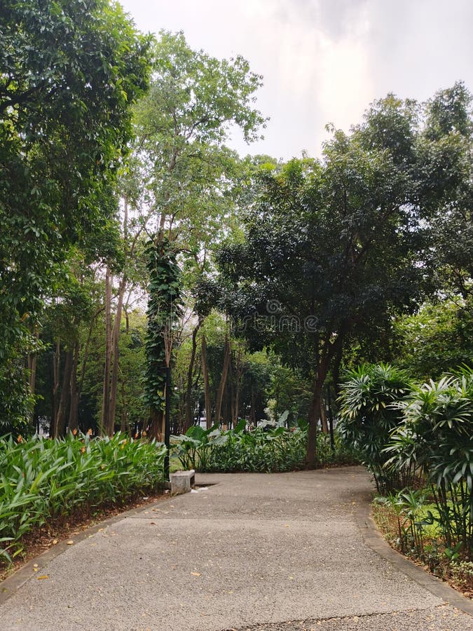 Light Colored Pebbles Pathway Closeup Background Stock Photo - Image of ...