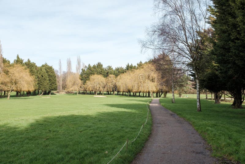 Pathway Winds through a Lush Green Park Lined with Birch and Evergreen ...