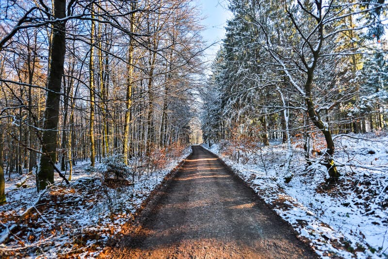 Mountain Pathway During Winter With Snow Stock Photo - Image of snow ...