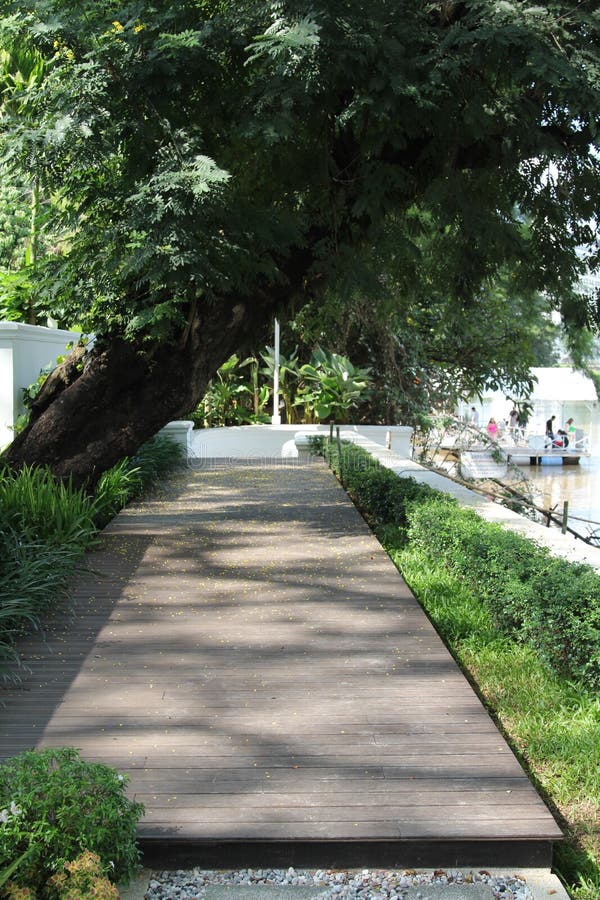 Pathway stock photo. Image of pavement, lawn, pathway - 85277570