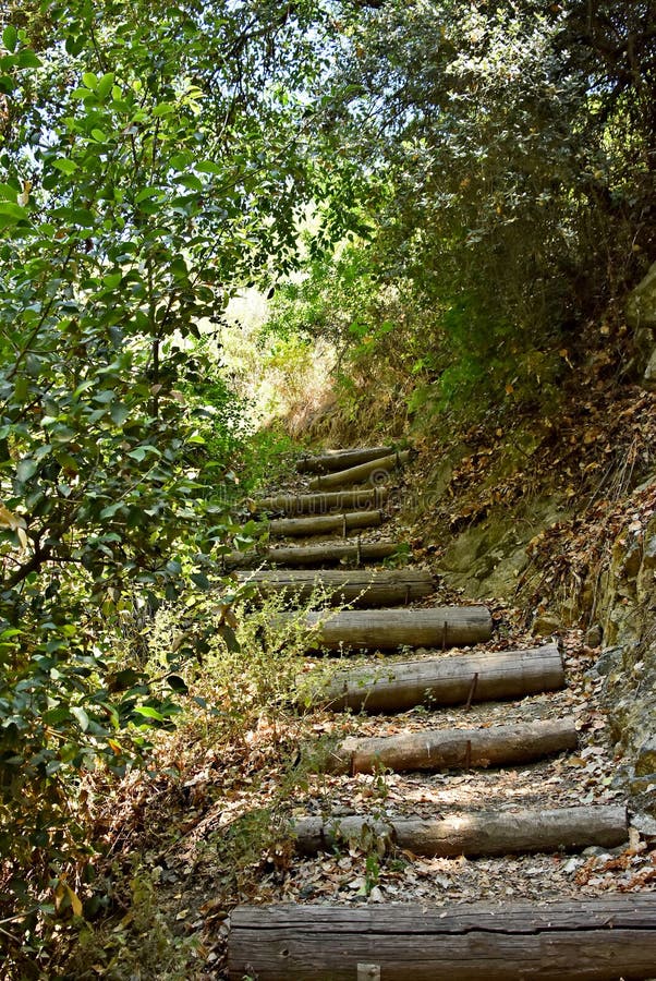 Pathway stock photo. Image of area, moutains, pathway - 290058020