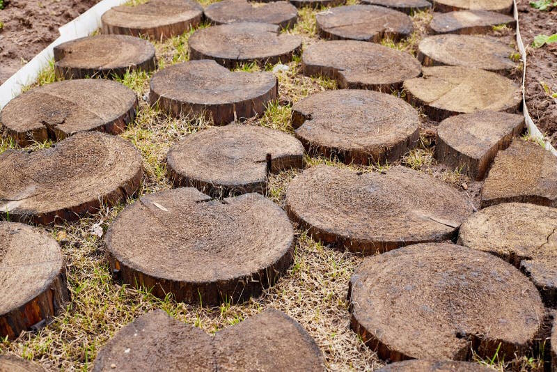 Round Pathway stock photo. Image of pathway, beginning, lead - 59212