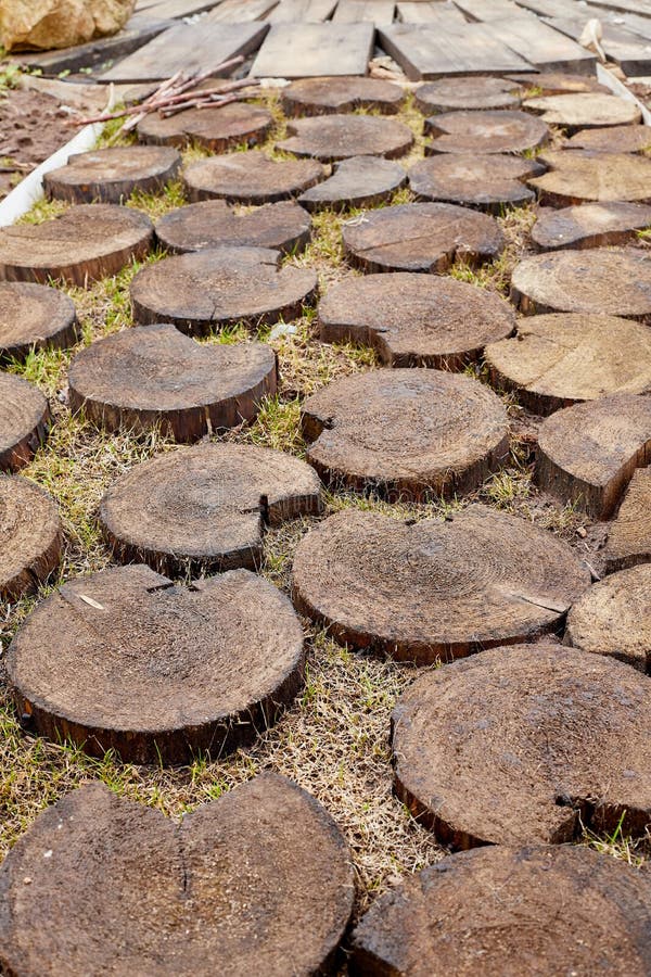 Round Pathway stock photo. Image of pathway, beginning, lead - 59212