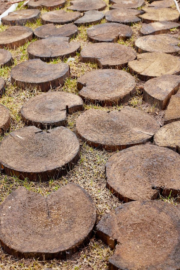 Round Pathway stock photo. Image of pathway, beginning, lead - 59212