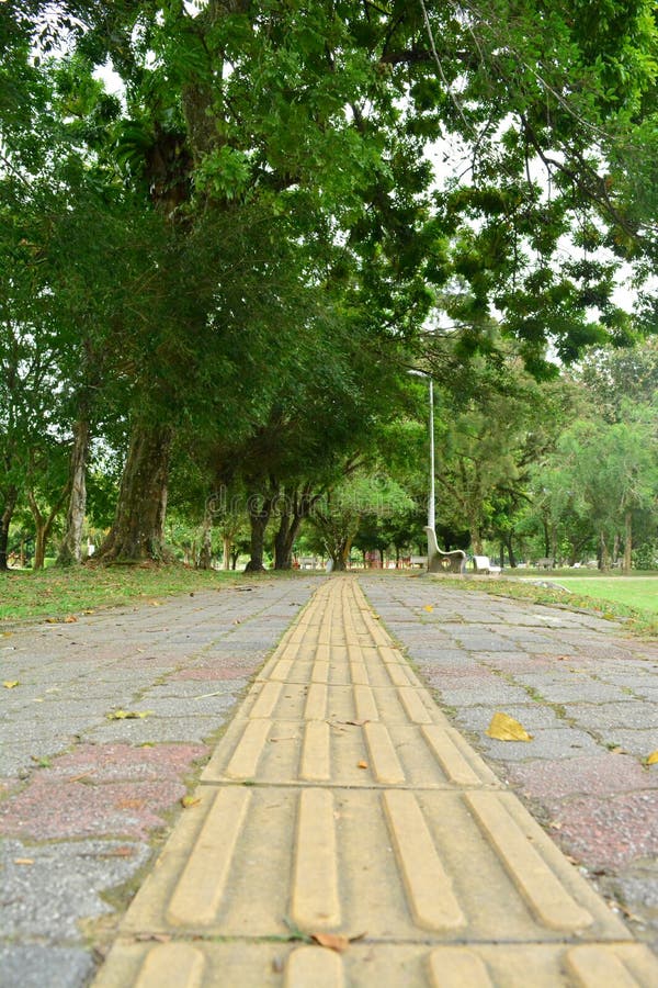 Disabled Pathway stock image. Image of public, sign, path - 25929181