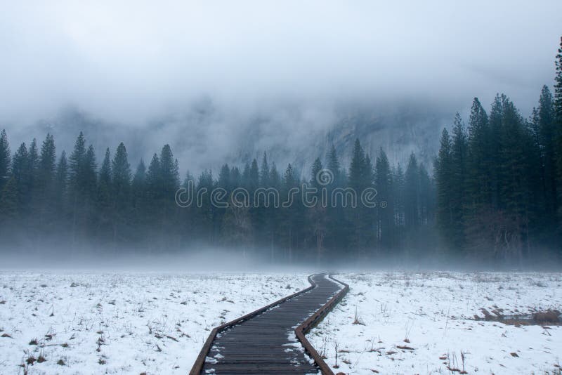 Yosemite Valley Under Snow Storm and Fog during Winter Time Stock Image ...
