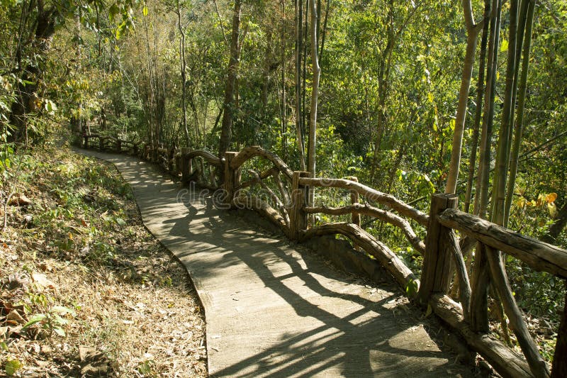 Pathways on the Hills and Natural Green Trees. Stock Photo - Image of ...