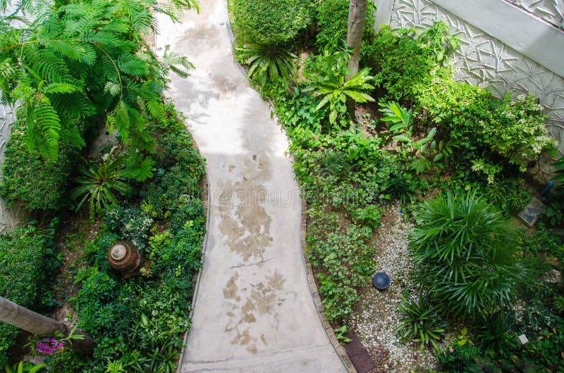 Pathways in the Park stock image. Image of relax, park - 649557