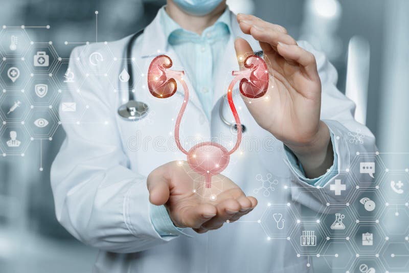 Patient Urinary System Treatment Concept Stock Image - Image of doctor ...