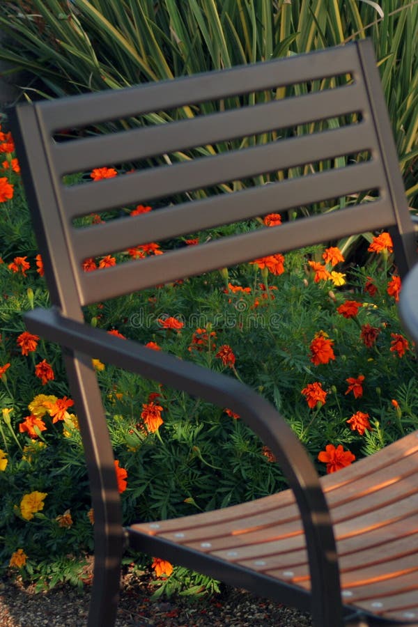Patio chair and flowers stock image. Image of slats, greenery - 6191549