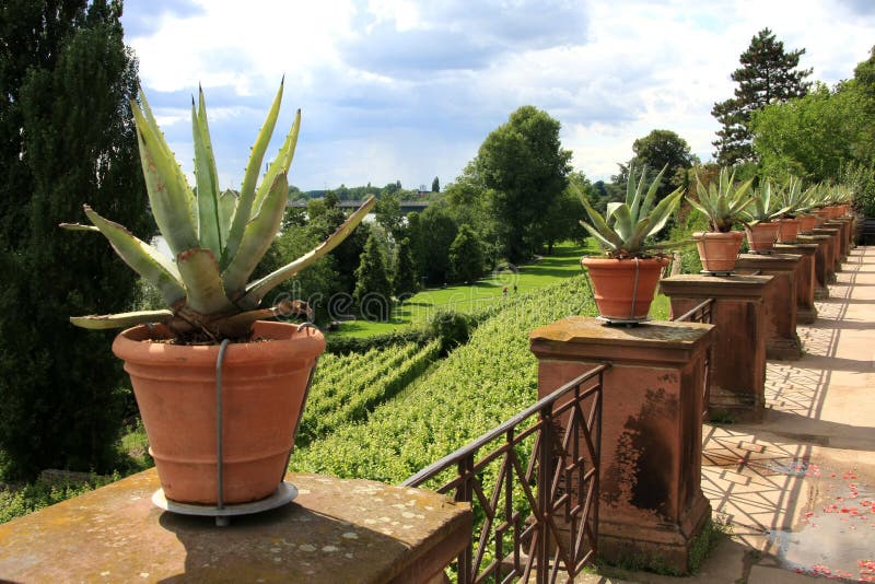 Italian Garden At Kensington Gardens Stock Image - Image of historic ...