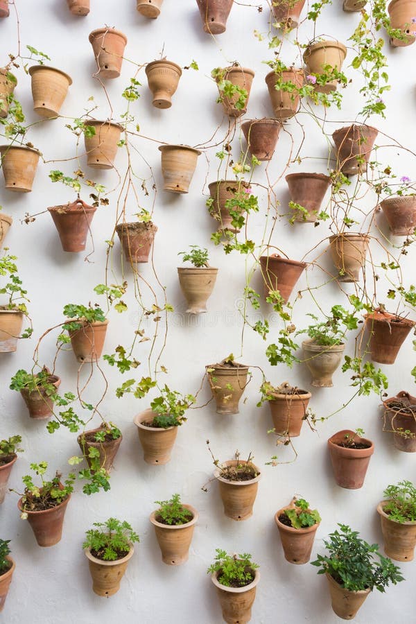 Full Frame Image of Flower Pots at Wall Stock Image - Image of pottery ...
