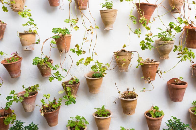Full Frame Image of Flower Pots at Wall Stock Image - Image of palacio ...