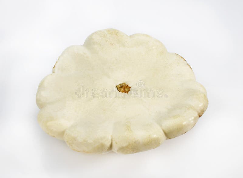 PATISSON stock image. Image of custard, ingredient, vegetable - 172734295