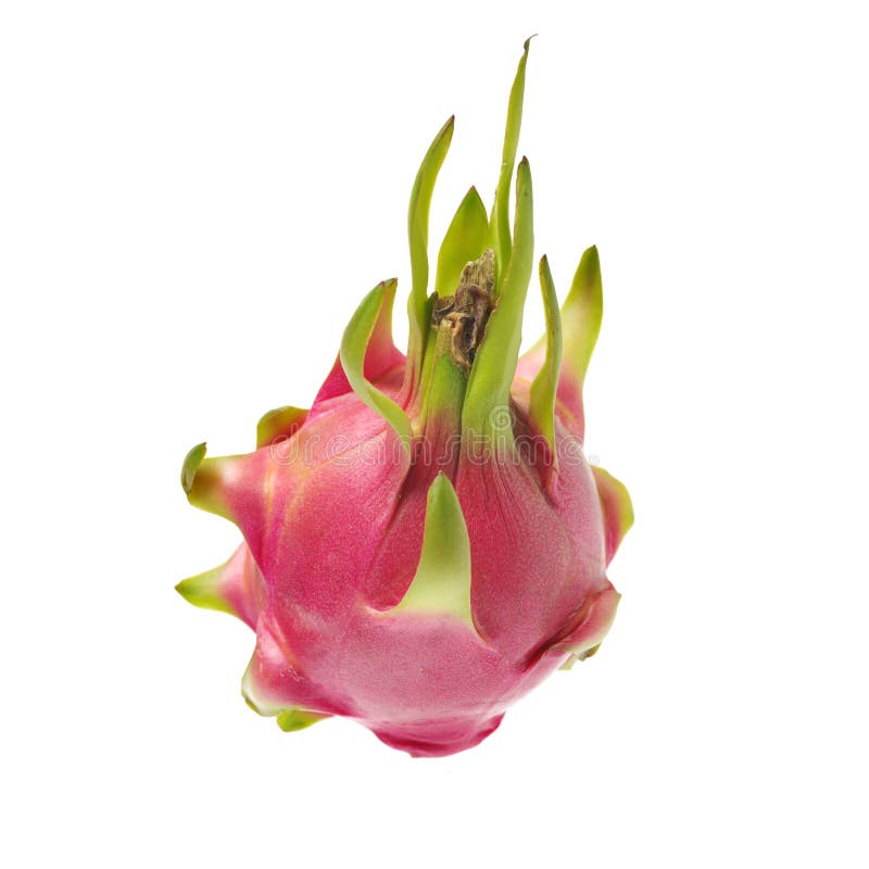 Patiya - Dragon Fruit stock image. Image of exotic, flour - 128897177