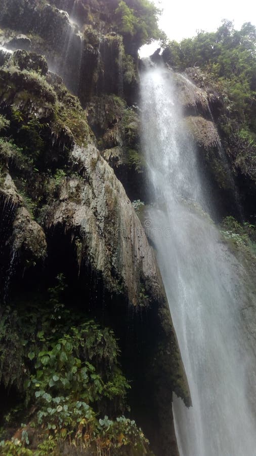 Patna fall of Rishikesh stock photo. Image of tree, cliff - 217537190
