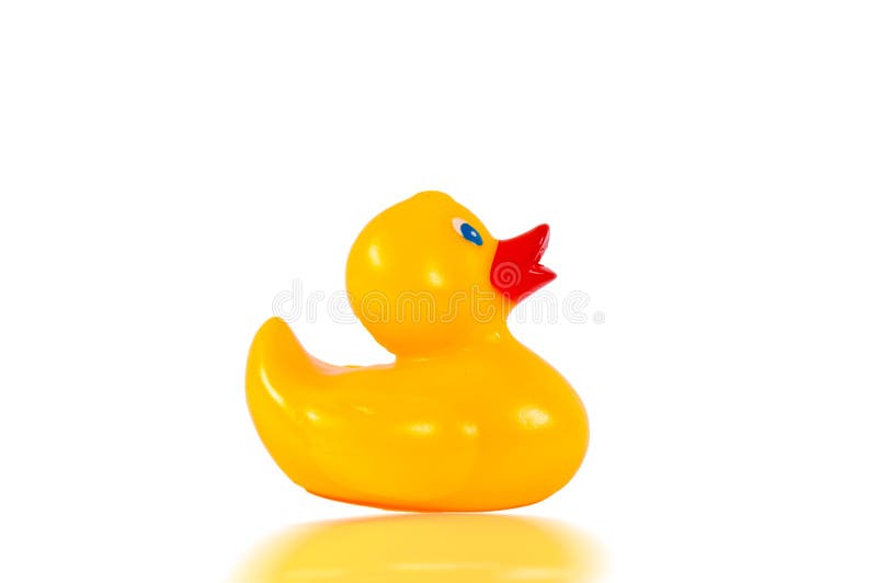 Pato amarillo foto de archivo. Imagen de amarillo, colada - 27640838