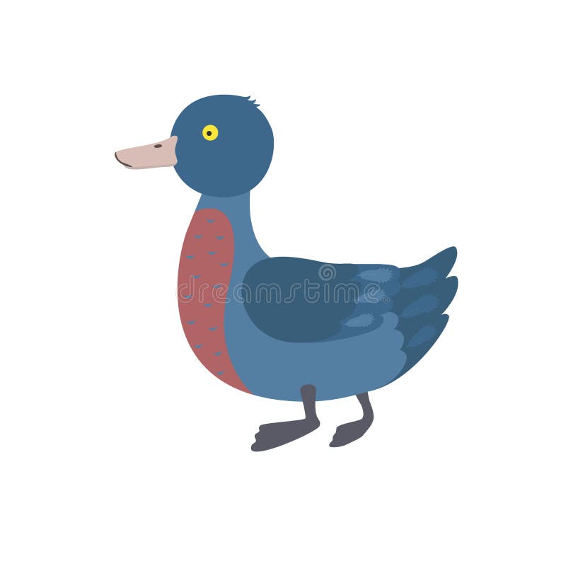 Pato azul bonito Whio ilustração do vetor. Ilustração de pato - 96049471