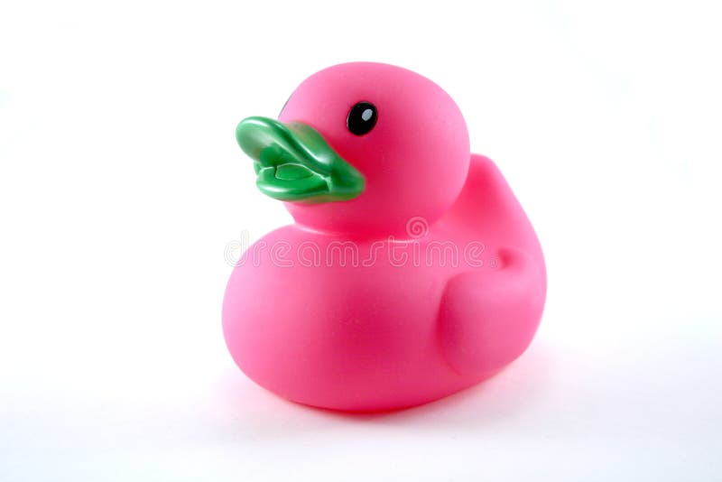 Pato De Borracha Cor-de-rosa Foto de Stock - Imagem de patinho, flutuar ...