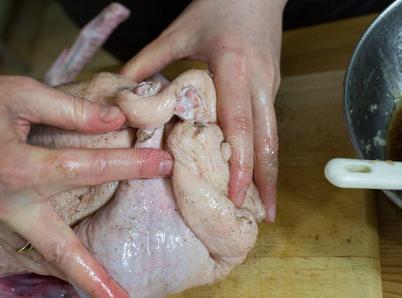 Pato de Pequim. foto de stock. Imagem de limpeza, beijinho - 39134008