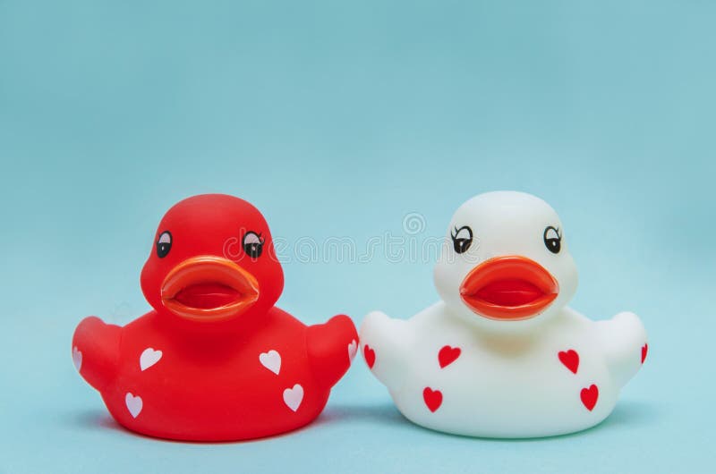 Patos tomados de la mano imagen de archivo. Imagen de picos - 37364441