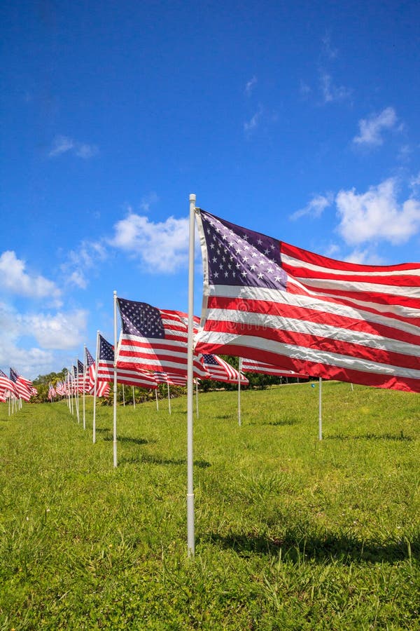 Patriotic Display of Multiple Large American Flags Stock Photo - Image ...