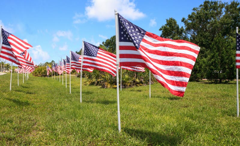 Patriotic Display of Multiple Large American Flags Stock Photo - Image ...