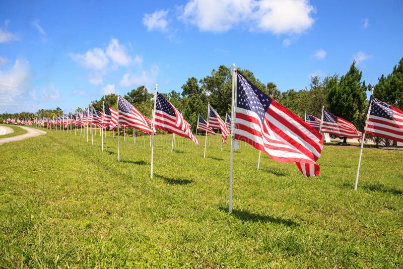 Patriotic Display of Multiple Large American Flags Stock Photo - Image ...