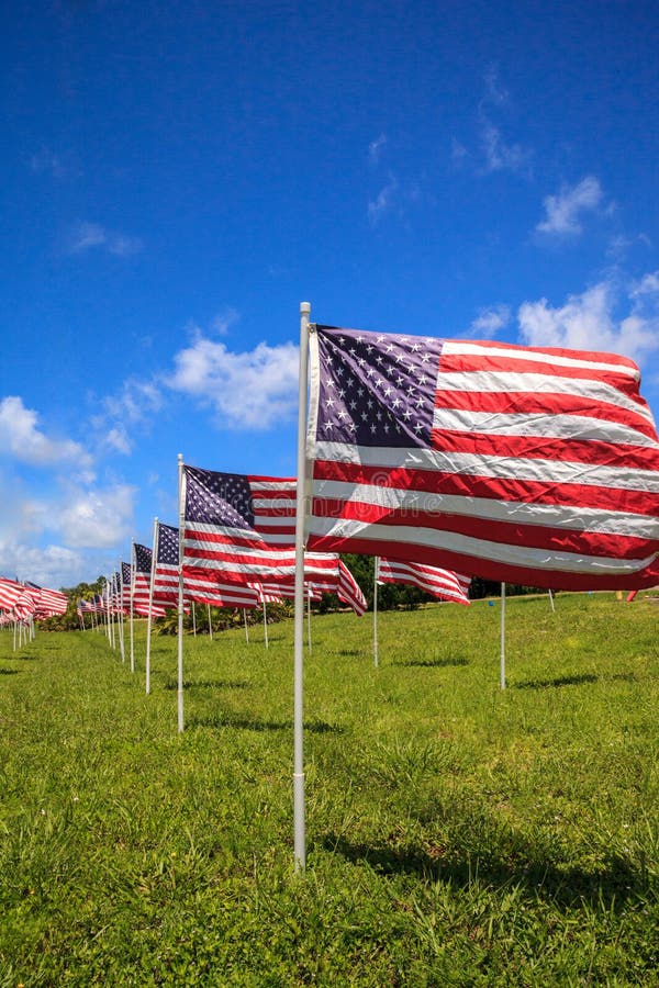 Patriotic Display of Multiple Large American Flags Stock Photo - Image ...