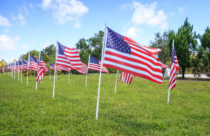 Patriotic Display of Multiple Large American Flags Stock Photo - Image ...