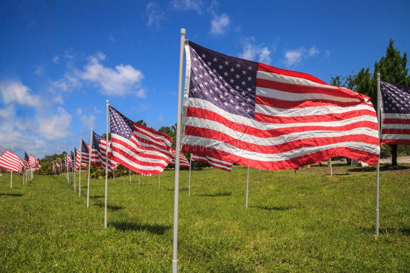Patriotic Display of Multiple Large American Flags Stock Image - Image ...