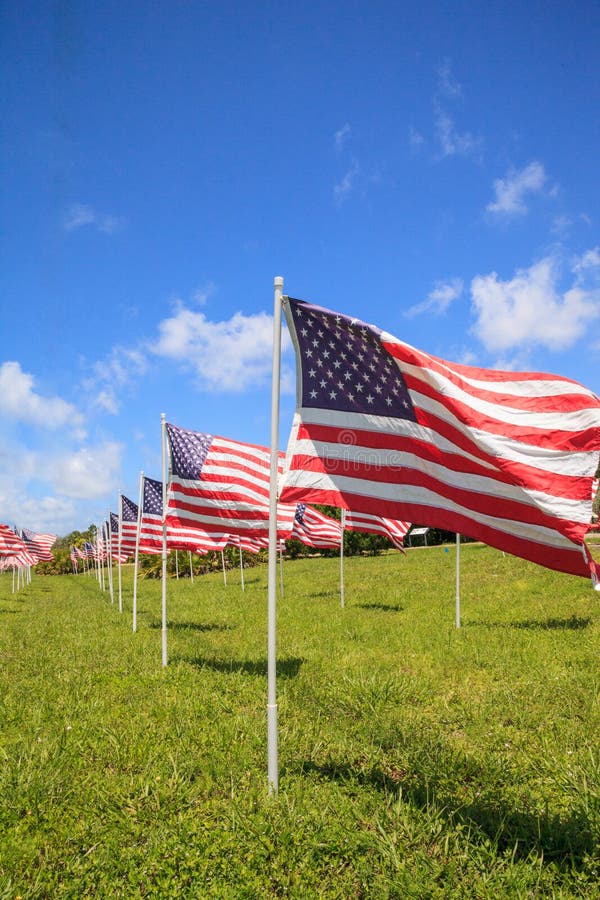 Patriotic Display of Multiple Large American Flags Stock Photo - Image ...