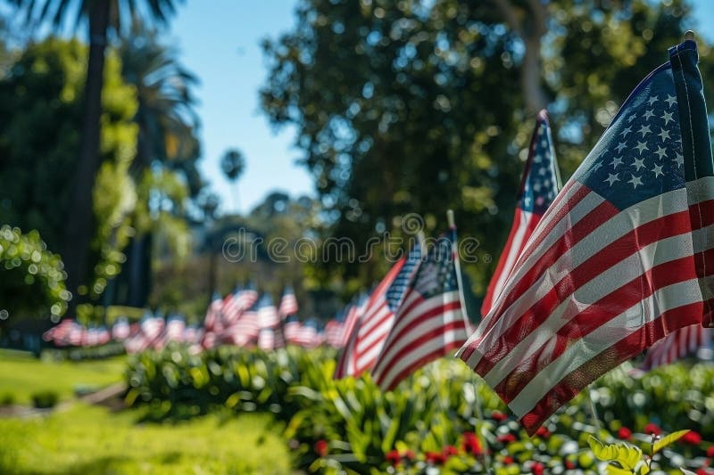Patriotic Field of American Flags Displayed at Community Event Stock ...