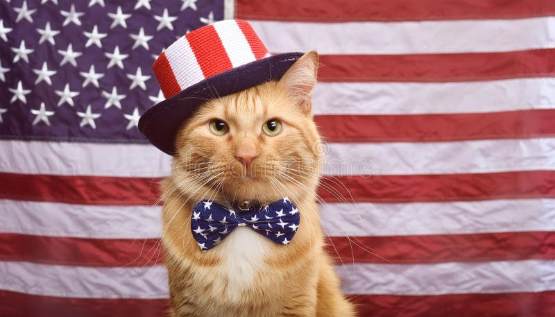 Orange Tabby Cat Wearing an Uncle Sam Hat Stock Illustration ...