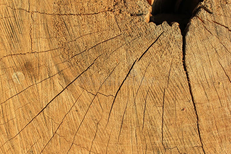 Patroon van stompen stock afbeelding. Image of oppervlakte - 48711529