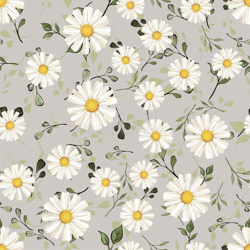 Pattern. Seamless. White Daisies. Daisy, Flower Stock Vector ...