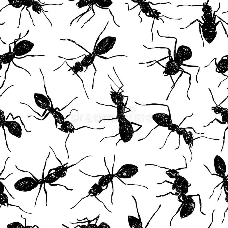 Army of Ants stock illustration. Illustration of insects - 14873284