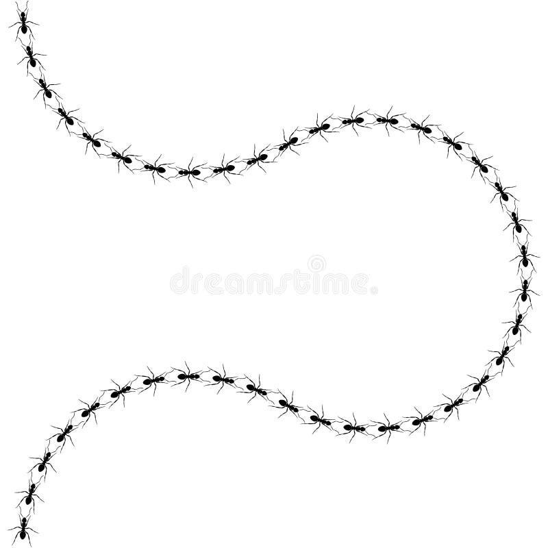 Ants path stock vector. Illustration of isolated, ants - 145575584