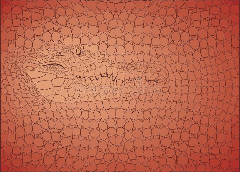Pattern Background Crocodile Stock Vector - Illustration of texture ...