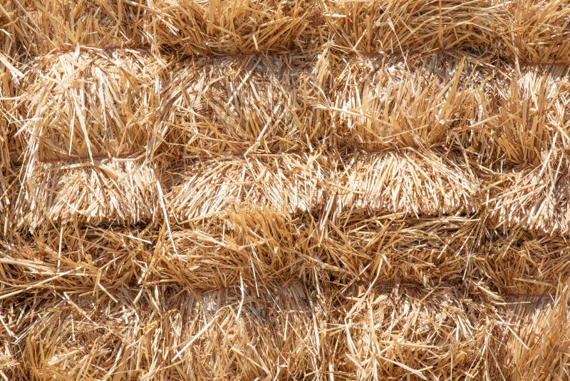 Pattern Background with Pile of Dry Hay or Straw Bales Stock Photo ...