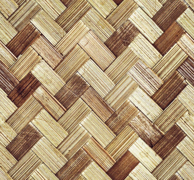 The Pattern of the Bark of a Coniferous Tree Stock Photo - Image of ...