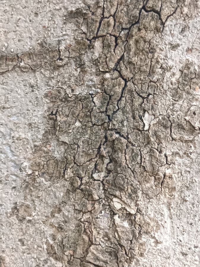 173 Jagged Line Pattern Stock Photos - Free & Royalty-Free Stock Photos ...