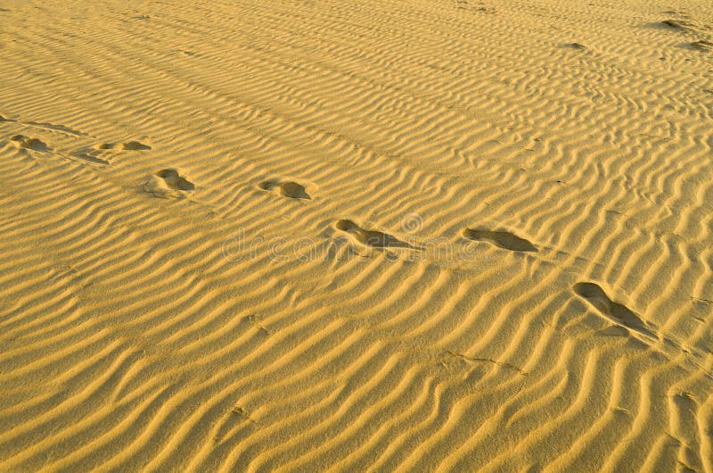 Pattern in the Beach Sand and Footprints Stock Image - Image of ...