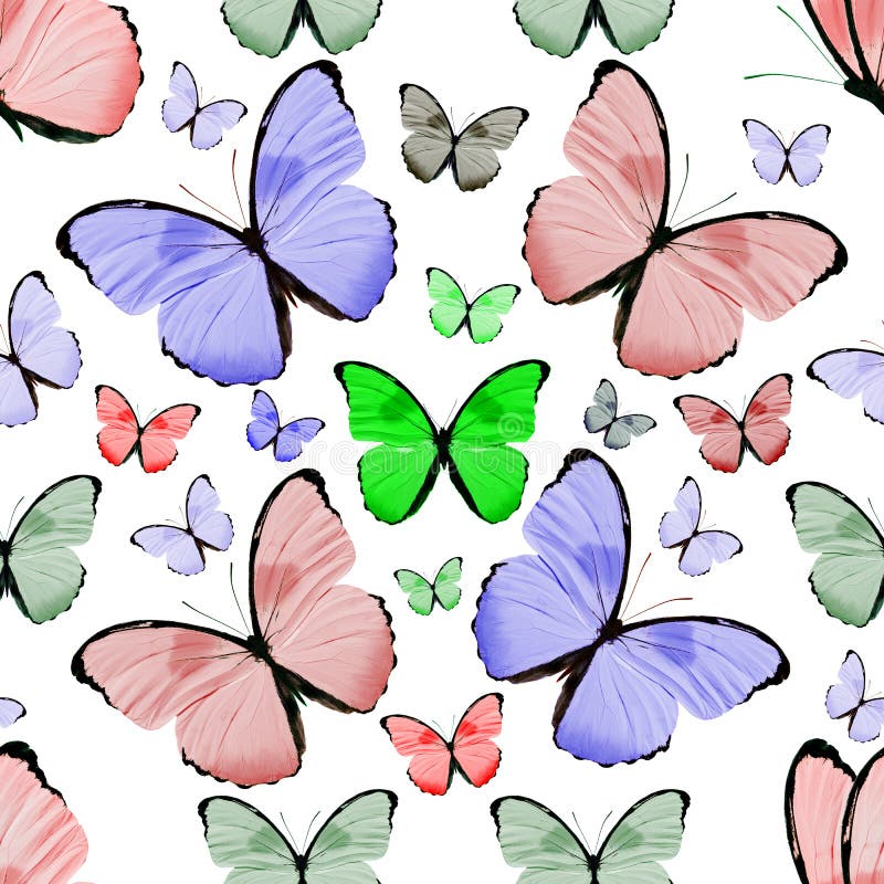 Pattern with Beautiful Natural Colorful Butterflies Stock Illustration ...