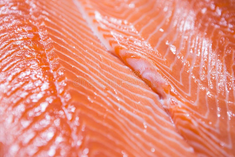 The Pattern of Beautiful Salmon Fillets Stock Image - Image of meat ...