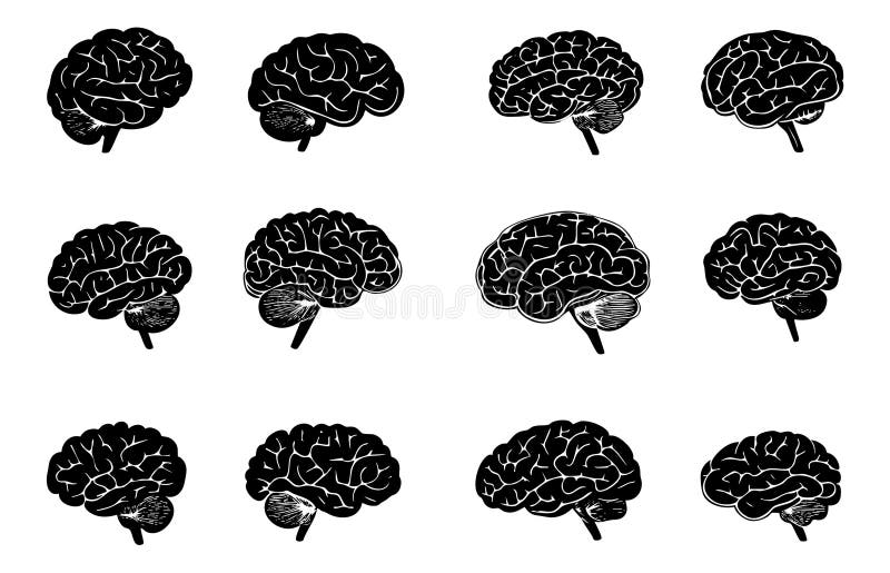 Pattern of Black and White Brain Illustrations on a White Background ...