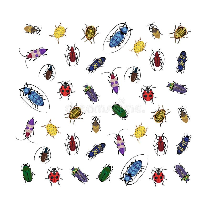 Pattern, Border with Colorful Bugs. Bright Handdrawing of Beetles Stock ...