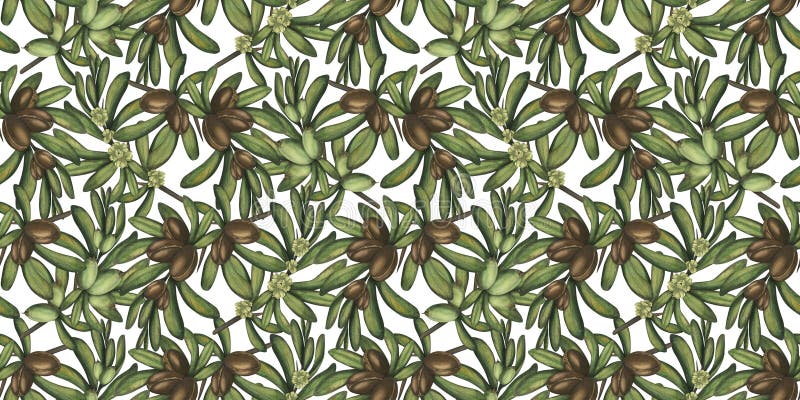 The Pattern is a Pattern of Branches of an Argan Tree with Nuts ...